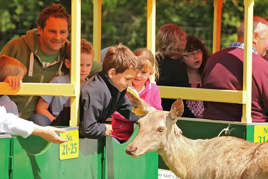 World of Country Life - What's on in Exmouth - Visit Exmouth