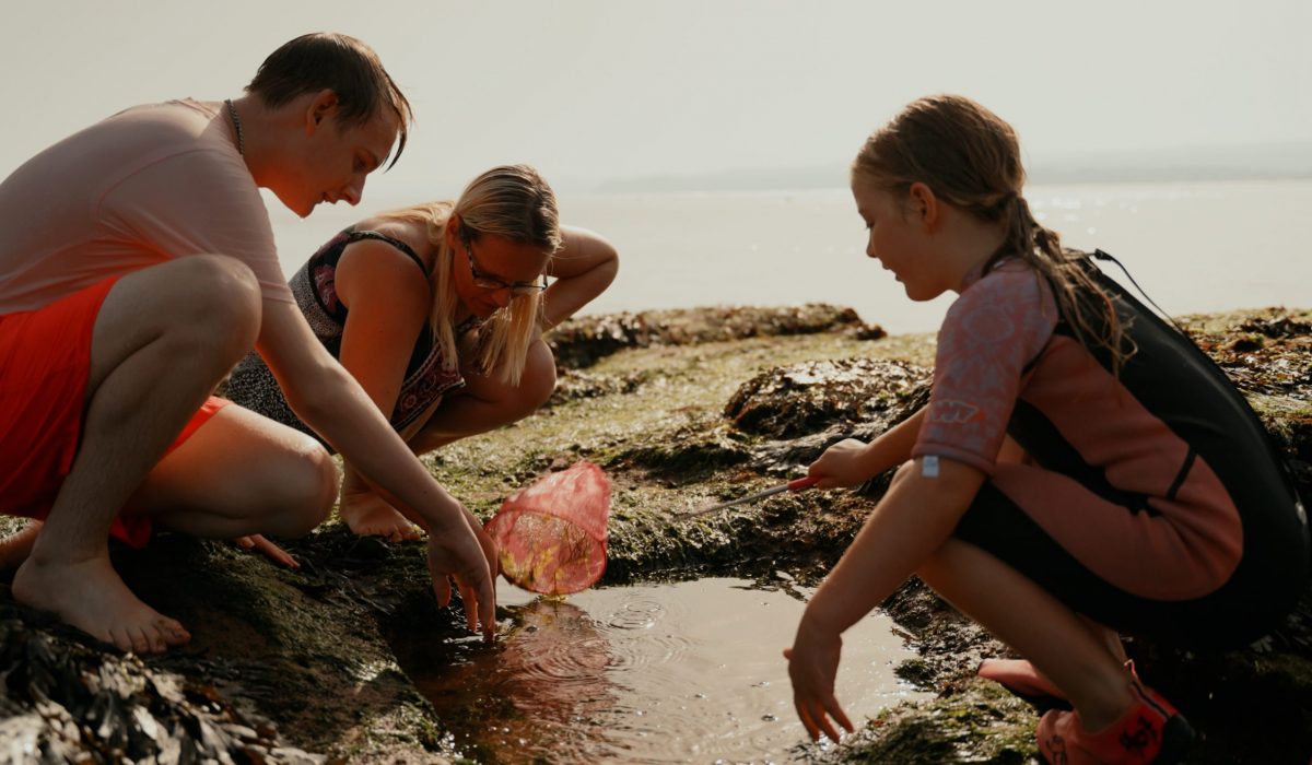 A guide to Wildlife Spotting in Exmouth - Visit Exmouth