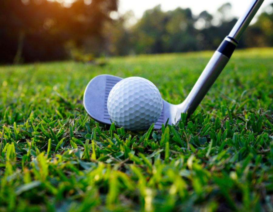 Phear Park Exmouth - Days out Exmouth